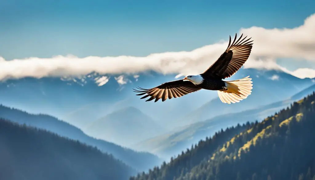 Wie Heißen Die Füße Vom Vogel?